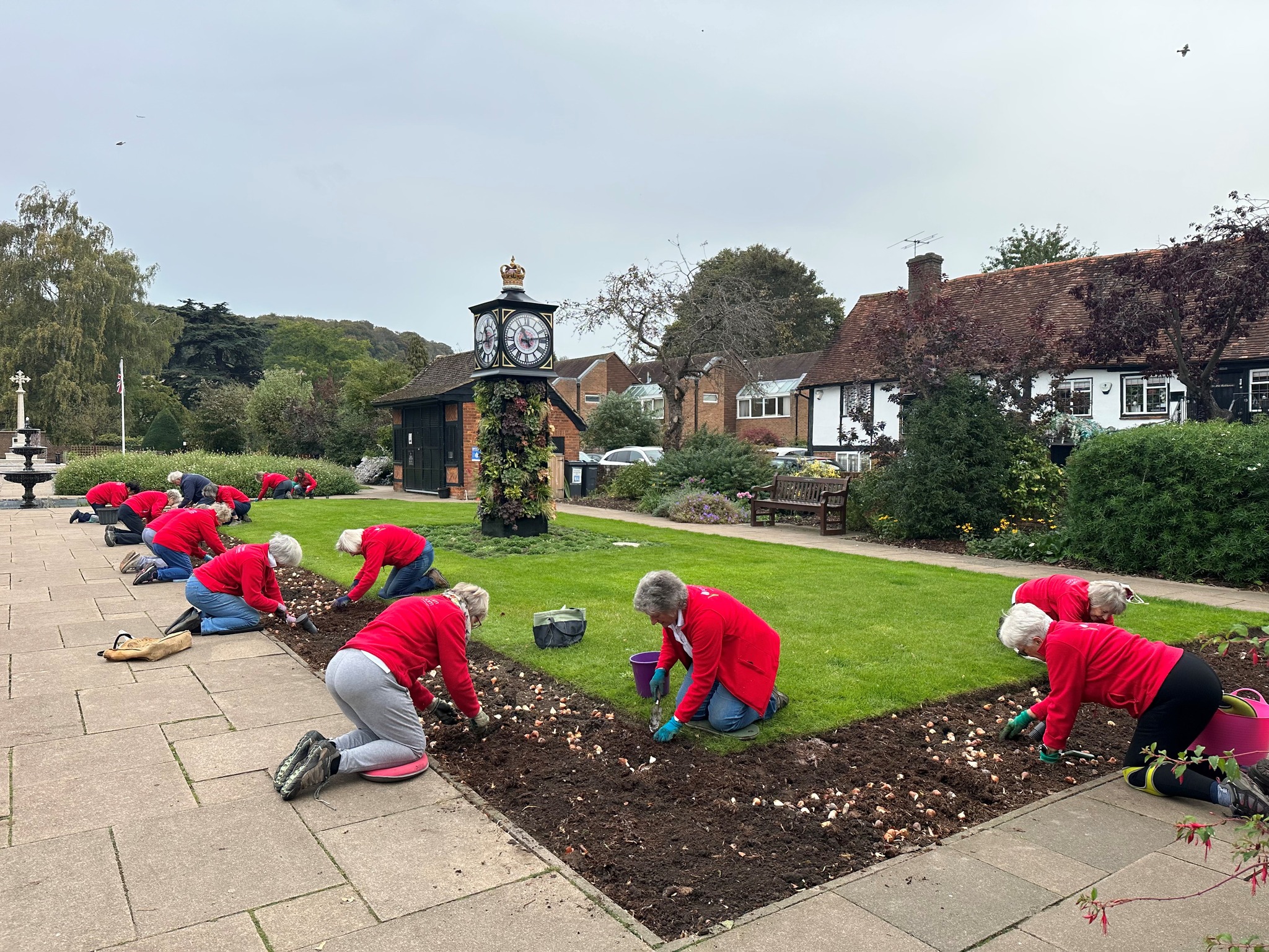 25,000 Bulbs Being Planted Across Amersham! - Amersham Town Council